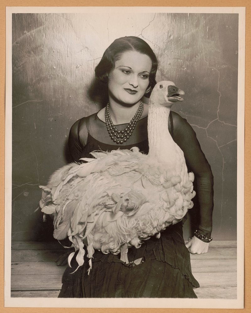 Photos+and+common People Images | Free Photos, PNG Stickers, Wallpapers ...