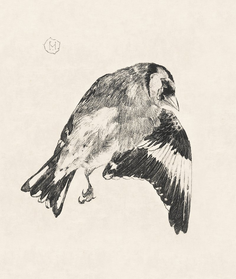 Dood puttertje (1878–1917) print high | Free Photo Illustration - rawpixel