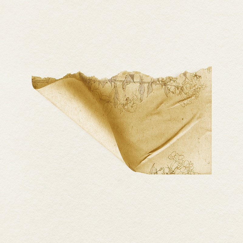 Ripped vintage paper psd | PSD - rawpixel