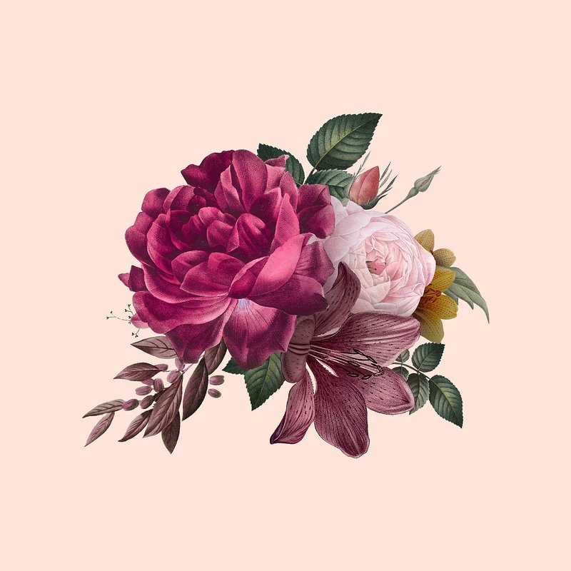 Beautiful hand drawn pink roses | Premium PSD Illustration - rawpixel