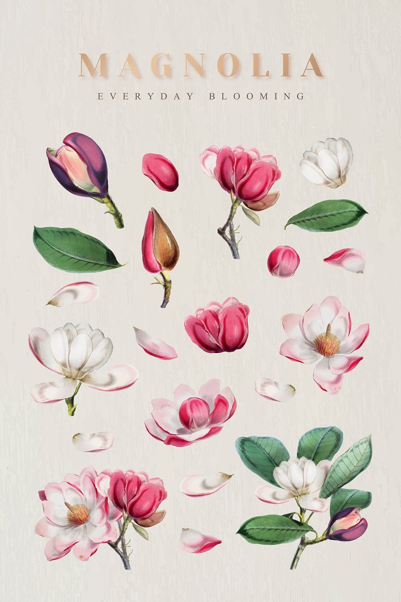 Elegant floral design collection vector | Premium Vector Illustration ...