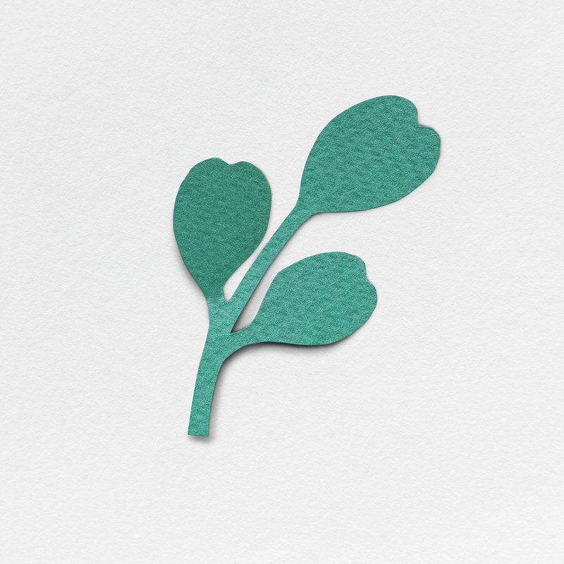 Green paper craft leaf isolated | Premium PSD - rawpixel