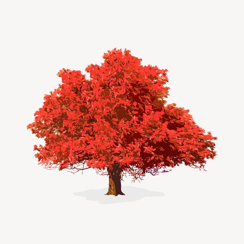 Red autumn tree isolated on white, | Premium PSD Illustration - rawpixel