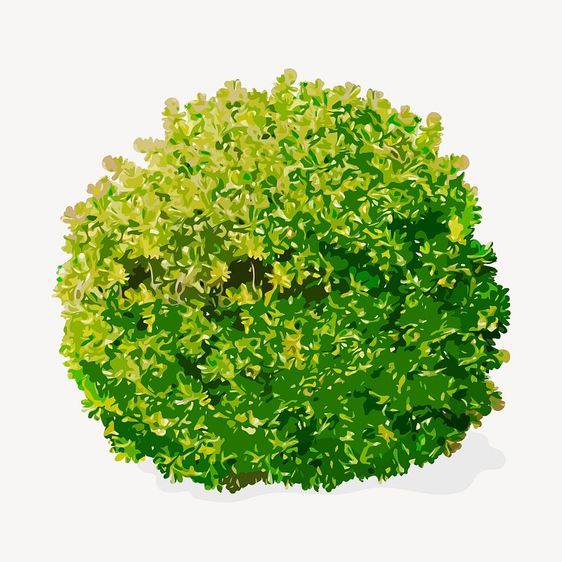 Bush collage element, nature design | Premium PSD Illustration - rawpixel