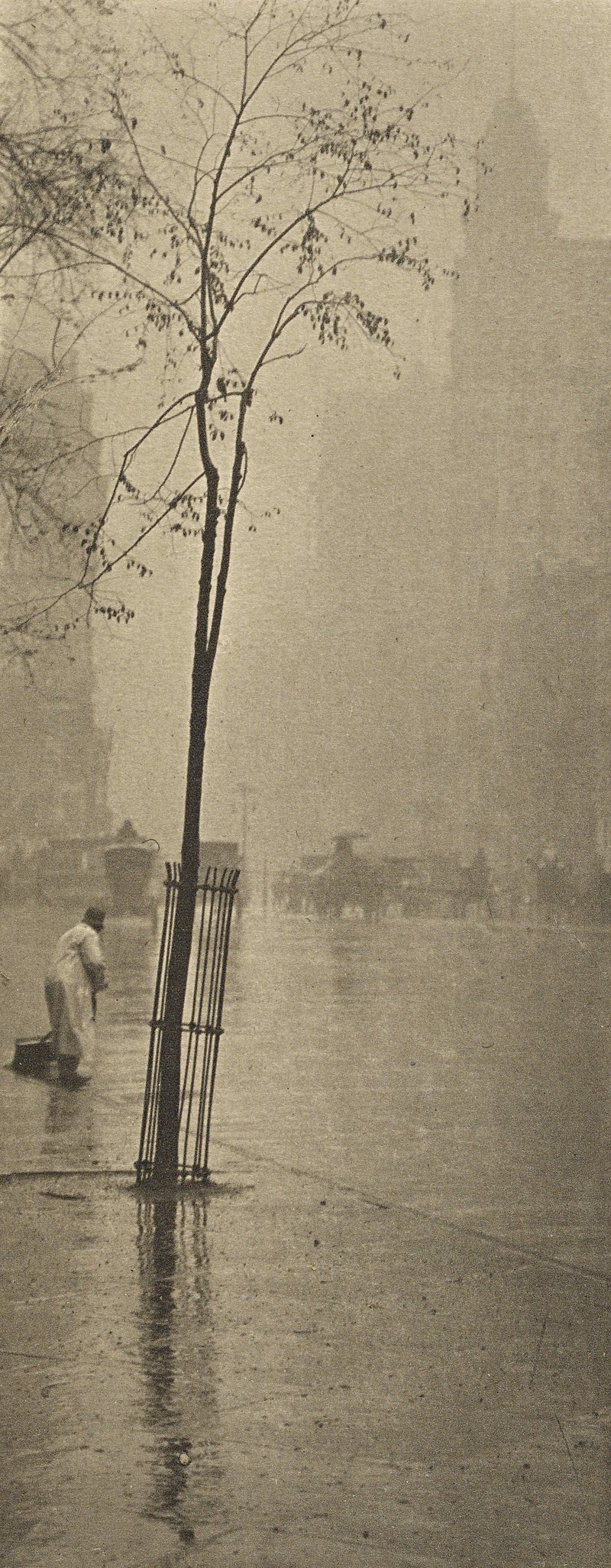 Horse Silhouette Images | Free Photos, PNG Stickers, Wallpapers ...