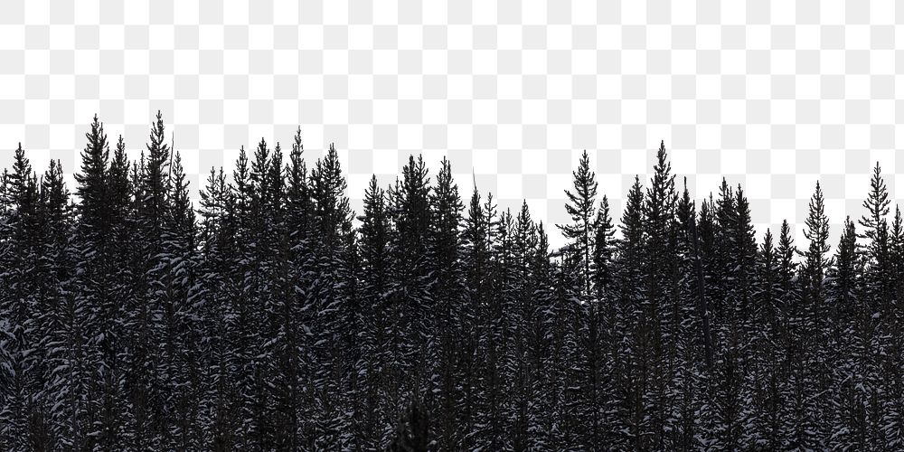 Forest png border, transparent background | Free PNG - rawpixel