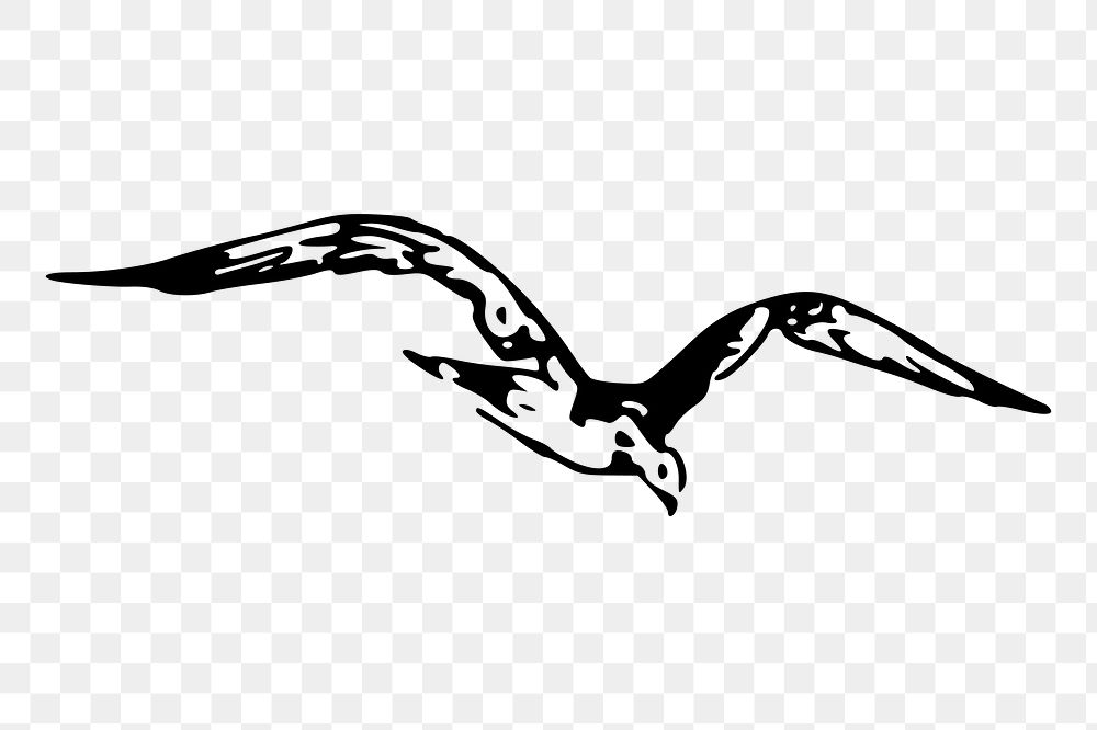 Flying bird png sticker illustration, | Free PNG - rawpixel