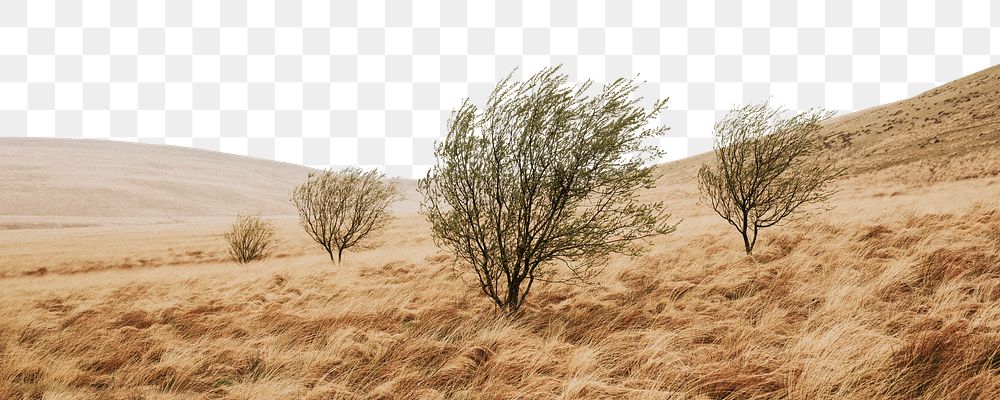 Rural landscape png border, transparent | Premium PNG - rawpixel