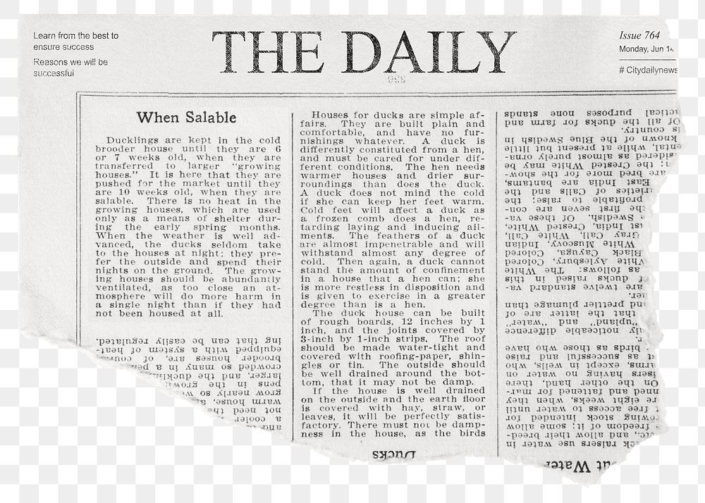 Ripped newspaper png sticker, vintage | Premium PNG - rawpixel