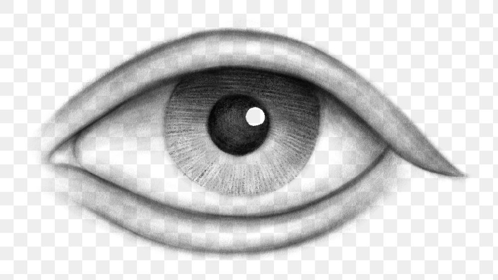 Png realistic eye drawing, transparent | Free PNG - rawpixel