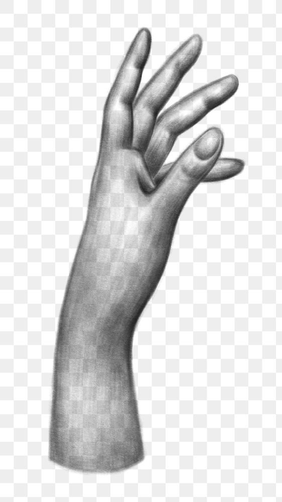 Png vintage right hand illustration, | Free PNG - rawpixel
