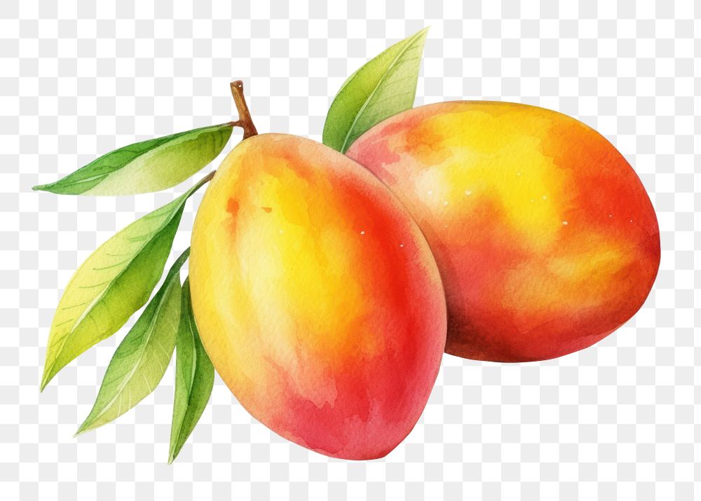 PNG Peach fruit mango plant. | Free PNG - rawpixel