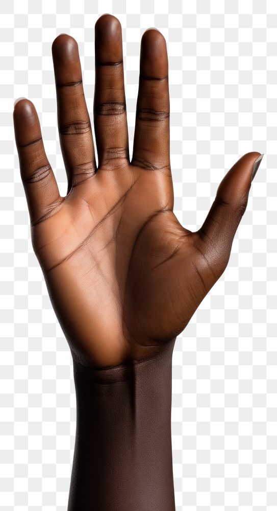 PNG Hand finger adult gesturing. | Free PNG - rawpixel