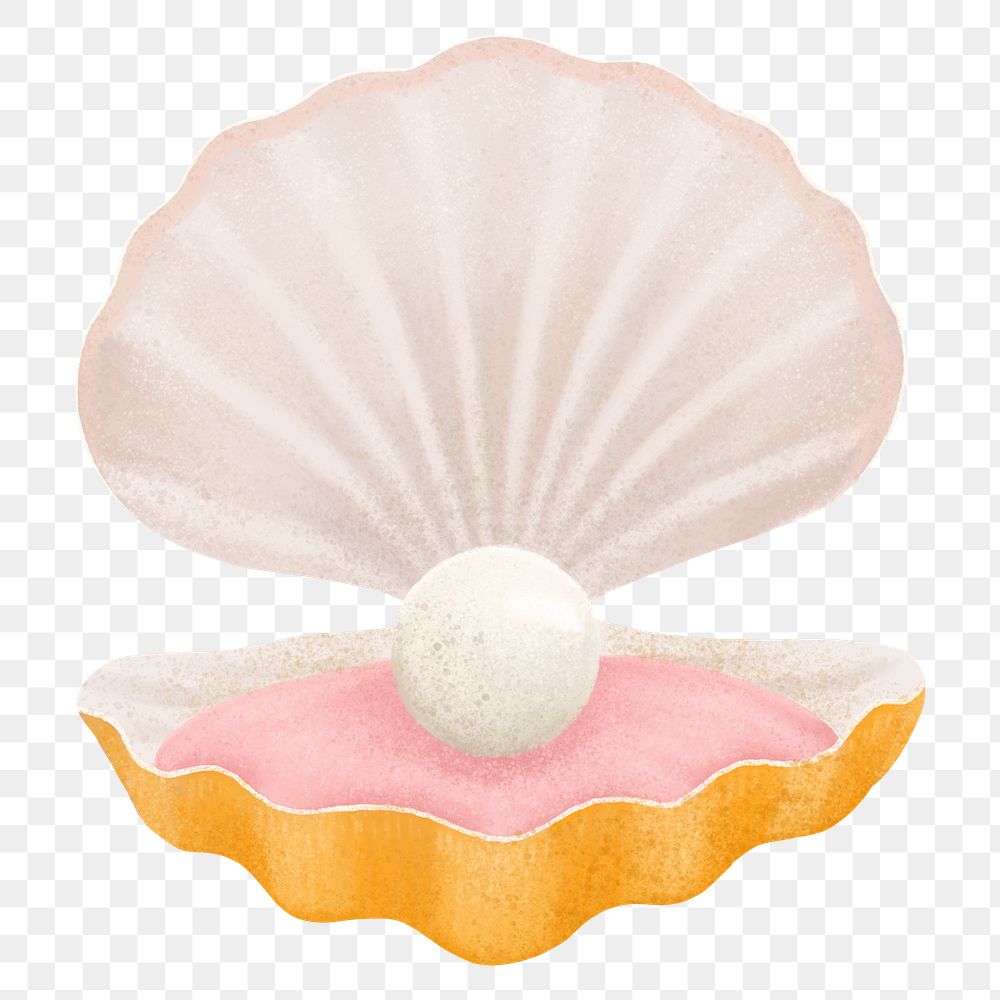 Pearl shell png sticker illustration, | Premium PNG - rawpixel