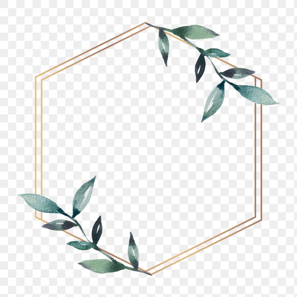 Hexagon png frame, transparent background | Premium PNG - rawpixel