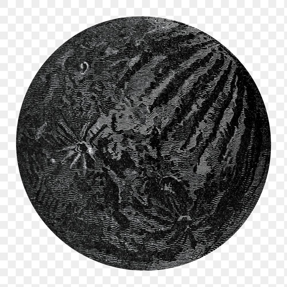 The moon png illustration, transparent | Premium PNG - rawpixel