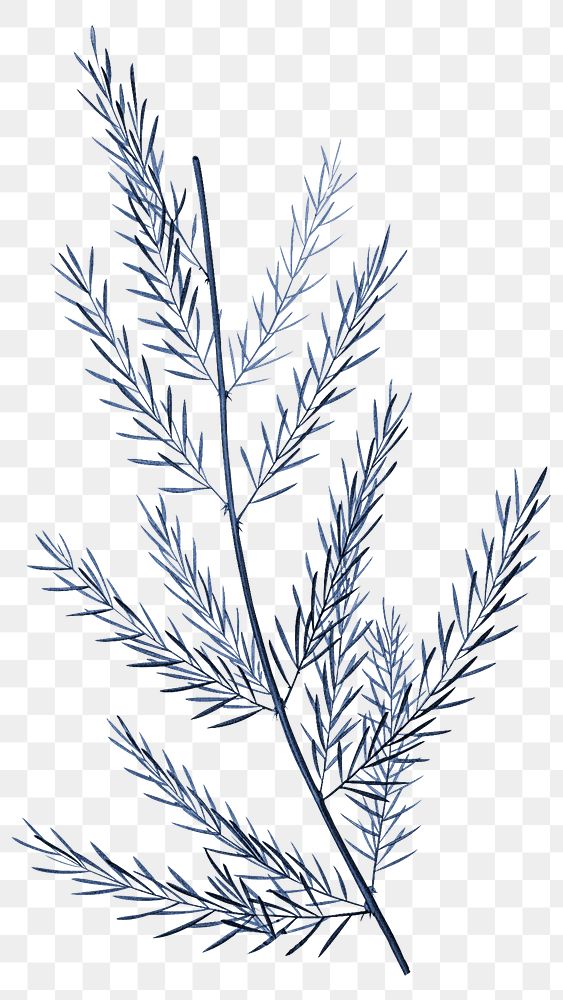 PNG vintage blue leaf, transparent | Premium PNG - rawpixel