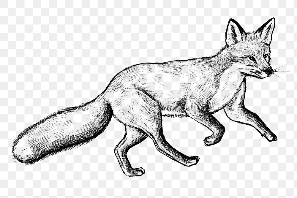 Cute hand drawn fox transparent | Free PNG Sticker - rawpixel