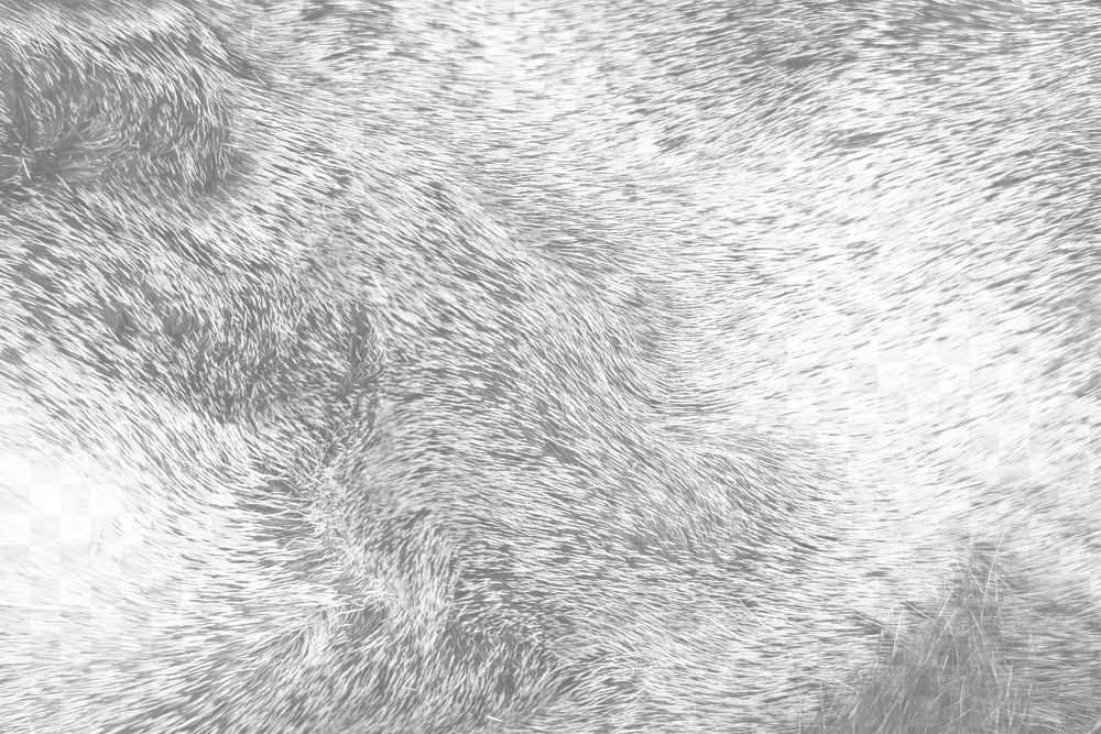 Animal fur png overlay texture, | Free PNG - rawpixel
