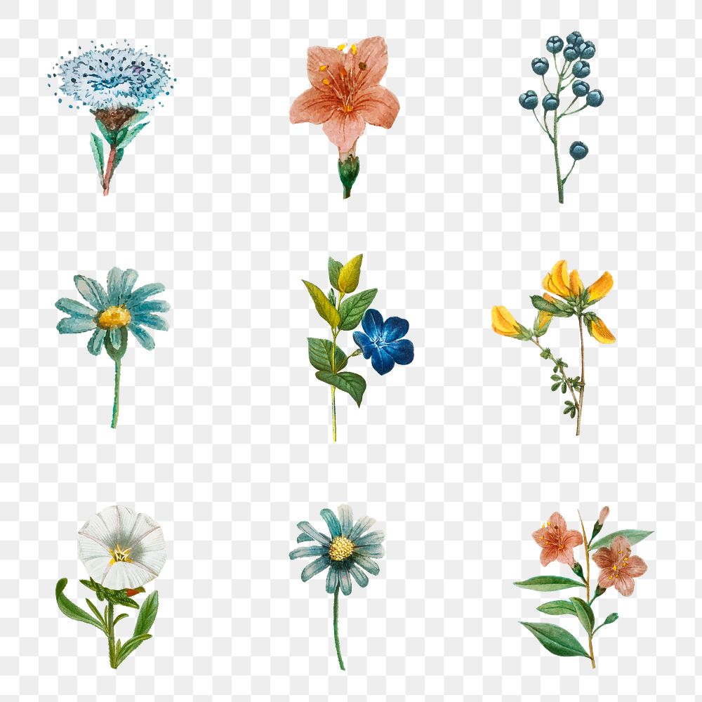 Vintage flower psd sticker set | Premium PNG - rawpixel