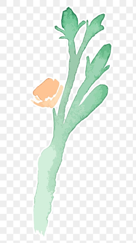 Flower plant botanical transparent png | Free PNG Sticker - rawpixel