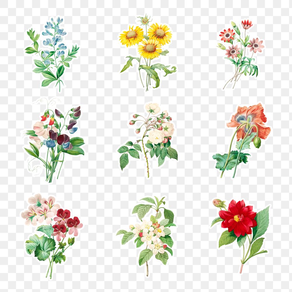 Flower sticker overlay design element | Premium PNG - rawpixel