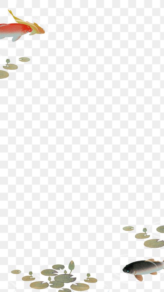 Koi fish frame design element | Free PNG - rawpixel