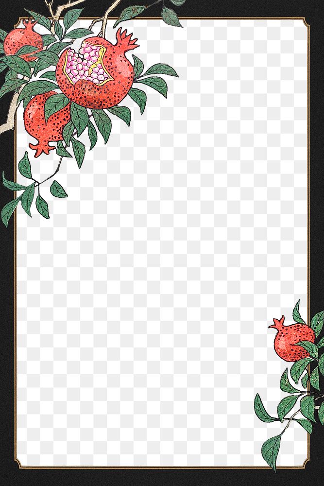 Pomegranate border frame design element | Free PNG - rawpixel