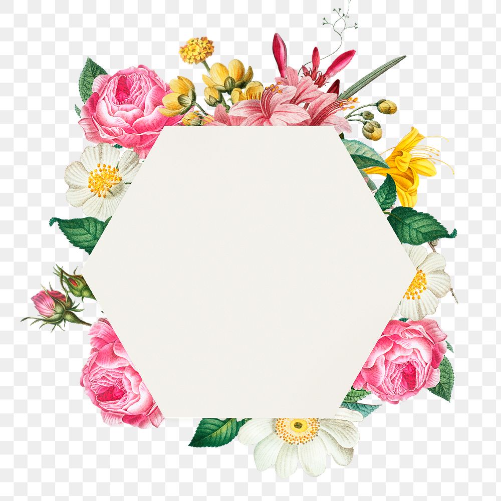 Botanical frame design transparent png | Free PNG - rawpixel