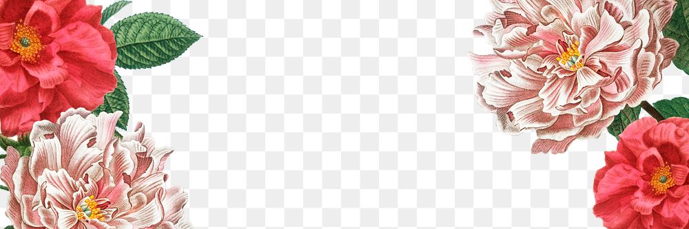 Vintage botanical banner design transparent | Premium PNG - rawpixel