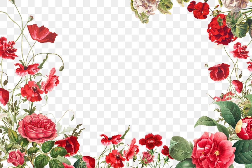 Vintage red flowers frame png | Premium PNG - rawpixel