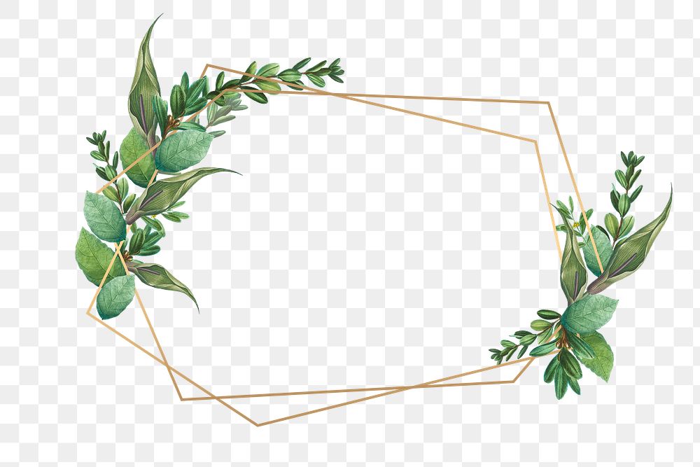 Tropical botanical frame transparent png | Premium PNG - rawpixel