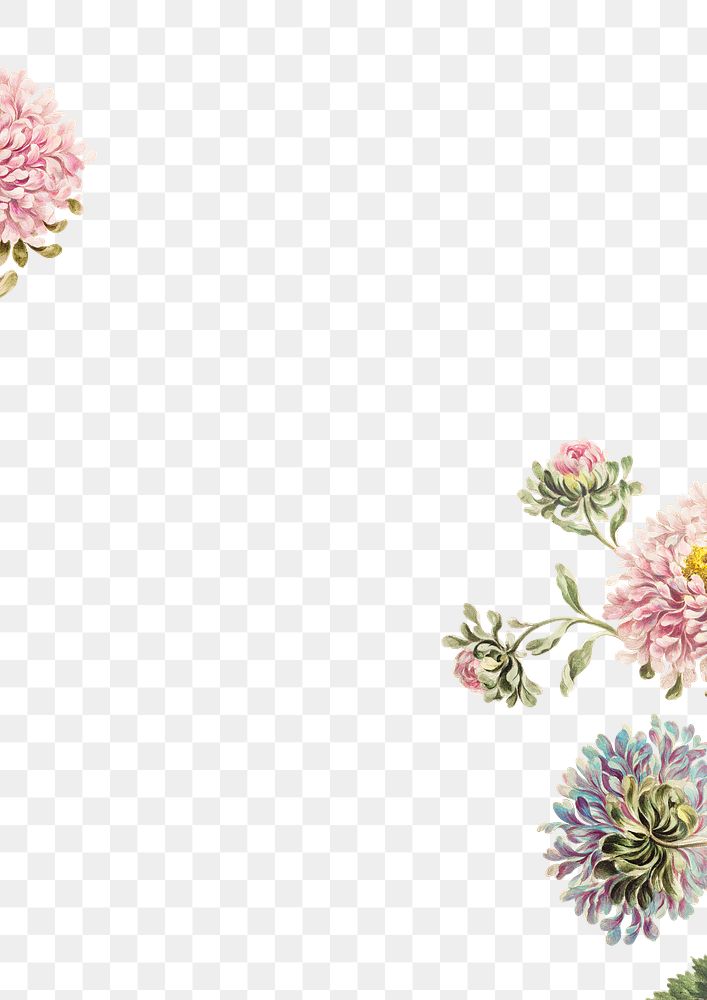 Vintage china aster flower frame | Free PNG - rawpixel