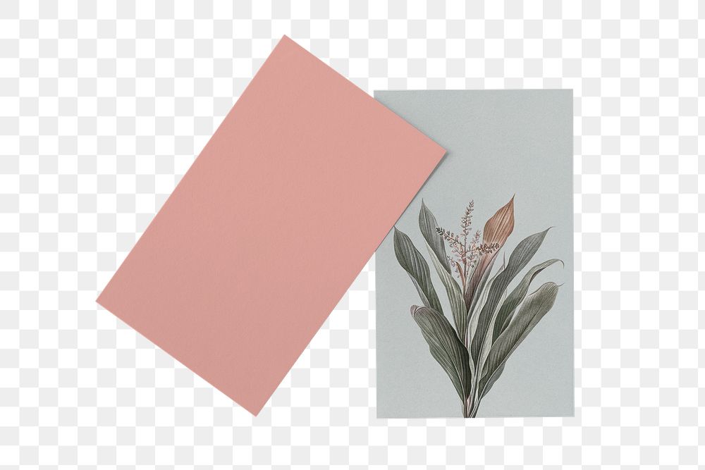 Name cards mockup set transparent | Free PNG Sticker - rawpixel