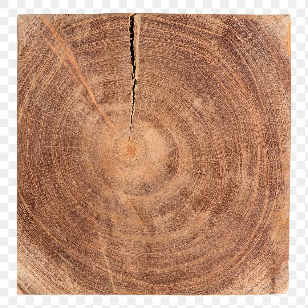 Wooden chopped log texture design | Free PNG - rawpixel