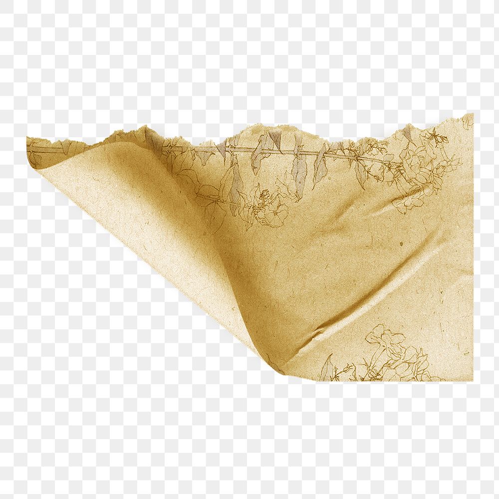 Crumpled paper scrap png, transparent | Free PNG - rawpixel