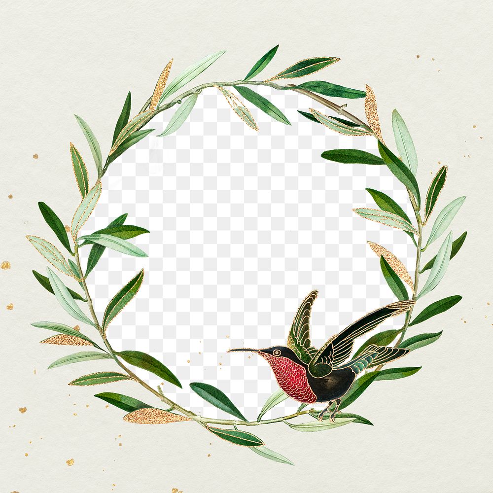 Hummingbird pattern frame png olive | Premium PNG - rawpixel