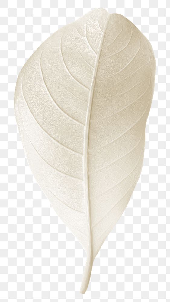 Closeup of white leaf design | Premium PNG Sticker - rawpixel