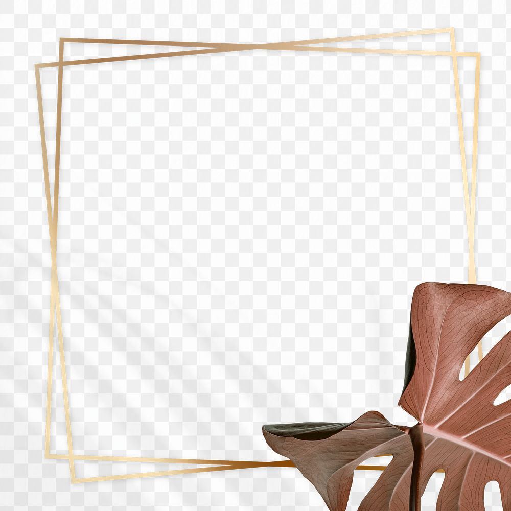 Golden square monstera frame design | Free PNG - rawpixel