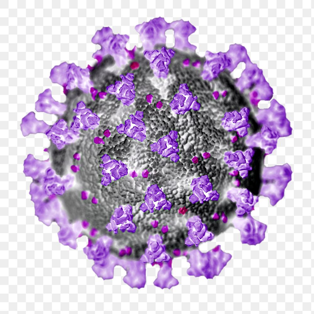 Ultrastructural illustration of coronavirus transparent | Free PNG ...