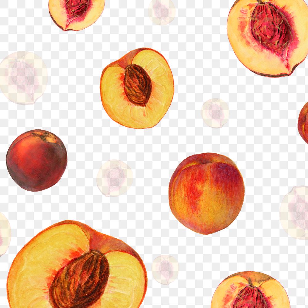 Hand drawn natural fresh peach | Free PNG Sticker - rawpixel