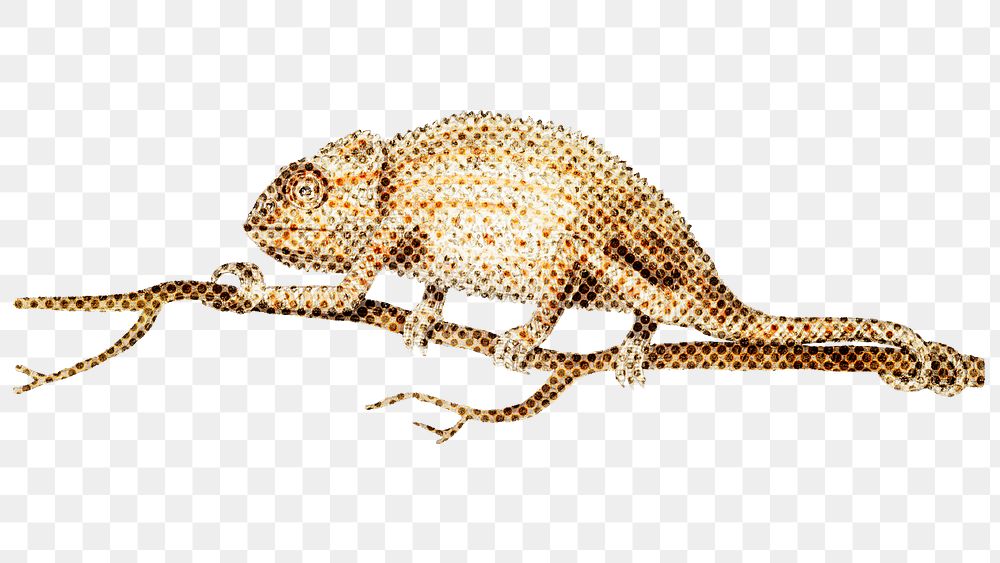 Halftone chameleon sticker design element | Free PNG Sticker - rawpixel