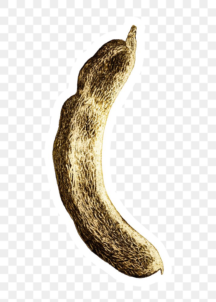 Gold tamarind sticker with a white | Free PNG Sticker - rawpixel