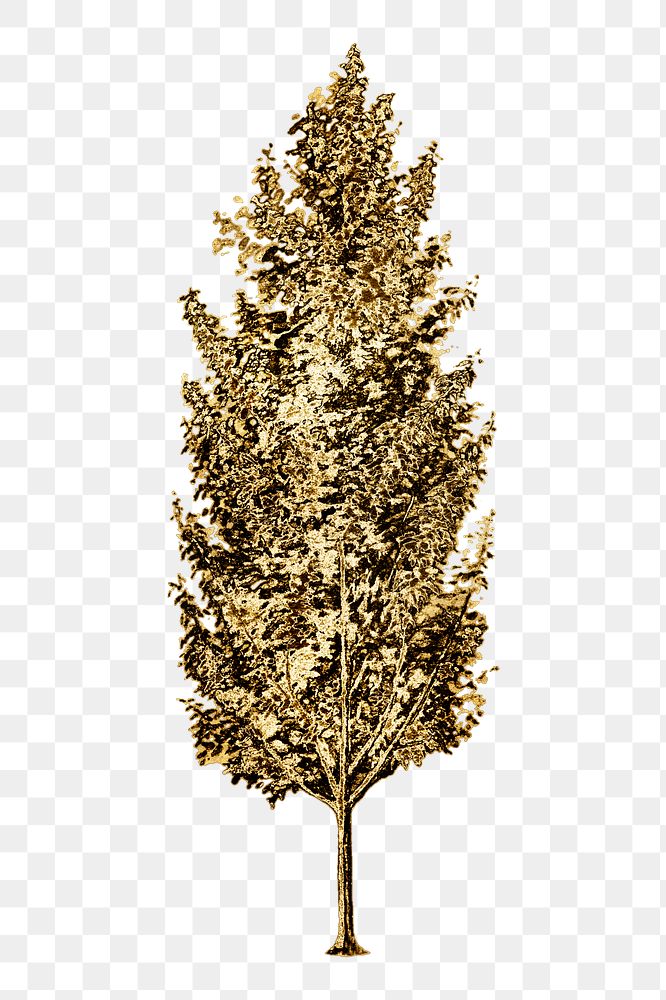 Gold pear tree sticker design | Premium PNG Sticker - rawpixel