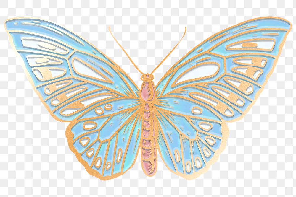 Cute pastel butterfly design element | Free PNG Sticker - rawpixel