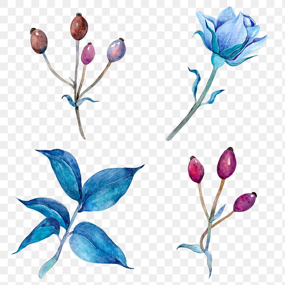 Blue watercolor flowers and leaves | Premium PNG - rawpixel