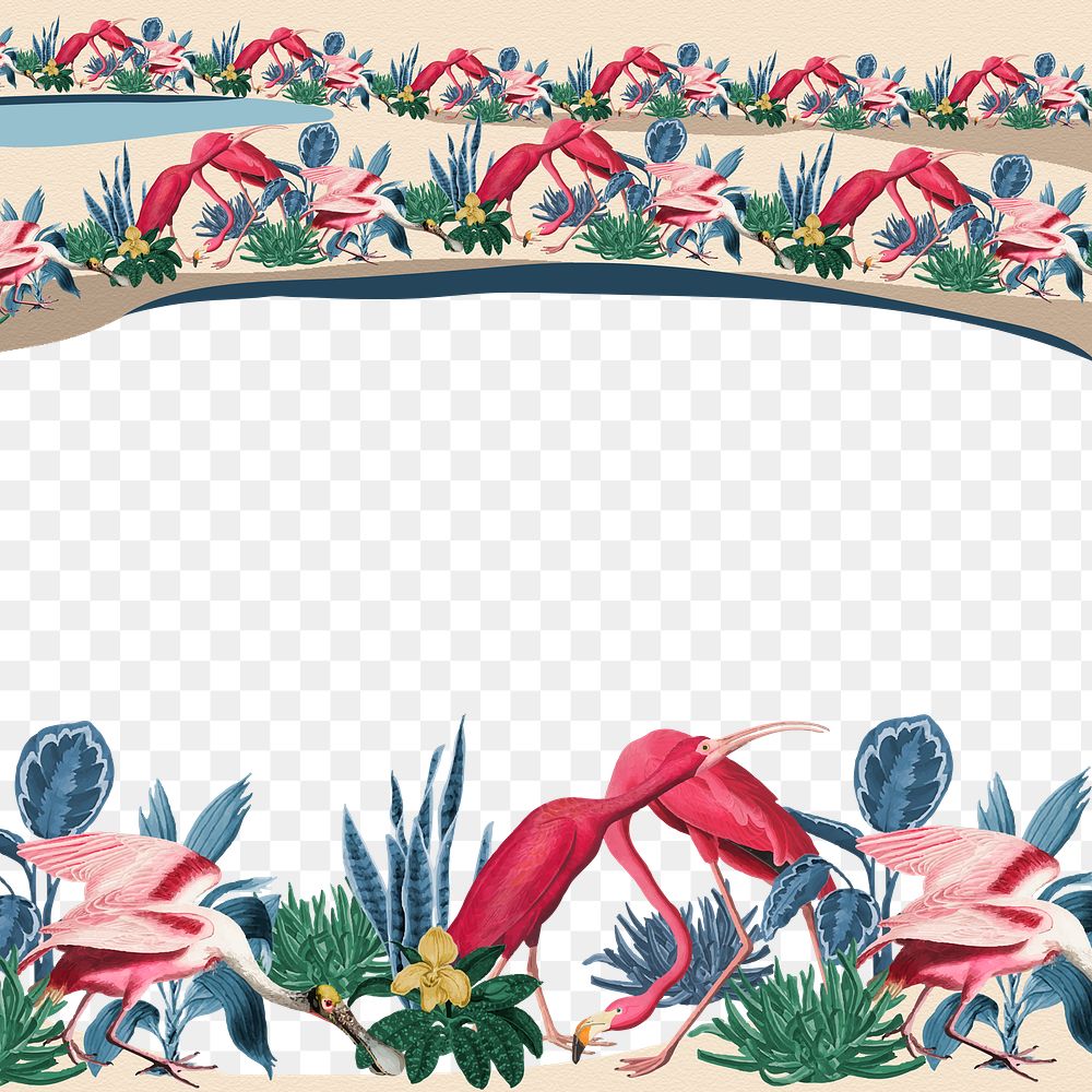 Tropical flamingo png border frame | Free PNG - rawpixel