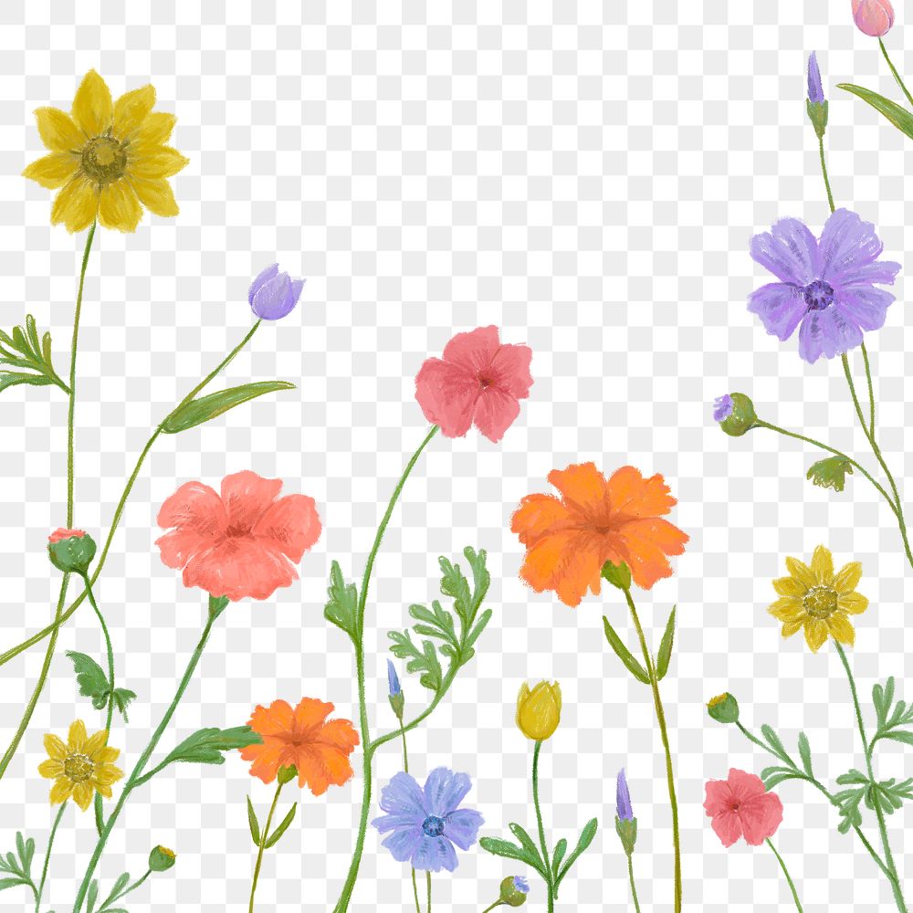 Png summer floral transparent background | Premium PNG - rawpixel