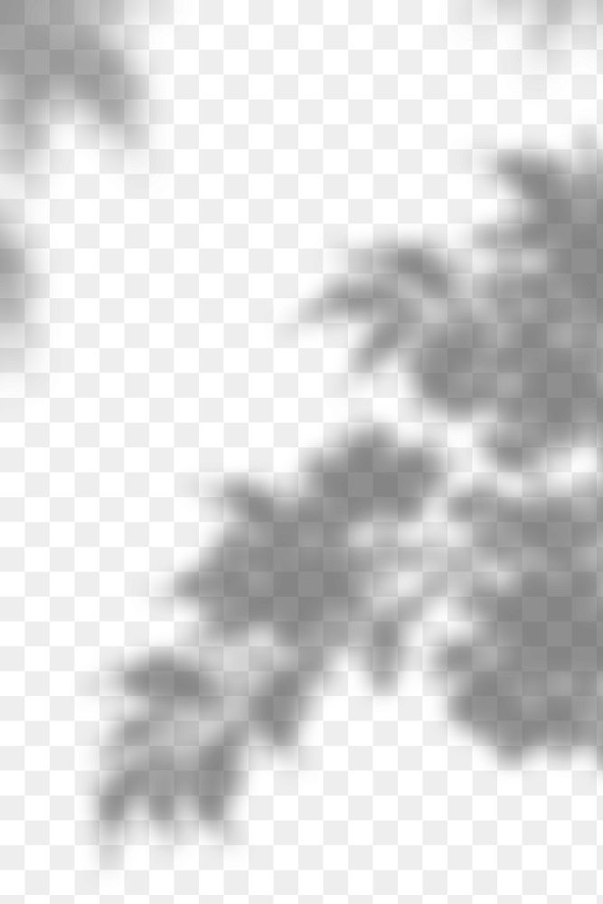 PNG tree shadow design element | Premium PNG - rawpixel