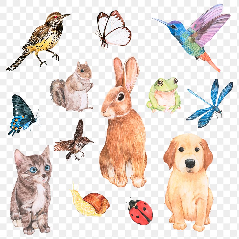 Animals element in watercolor png | Premium PNG - rawpixel